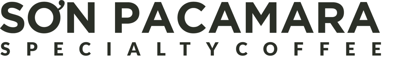 Sơn Pacamara: Specialty Coffee Made In Việt Nam