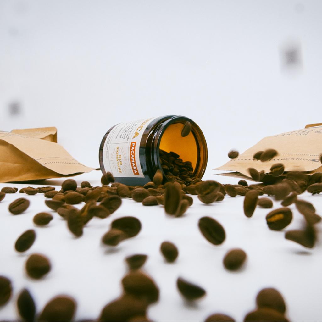 Sơn Pacamara: Việt Nam Specialty Coffee